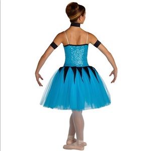 Algy Performs | Costumes | Poised Romantic Ballet Costume | Poshmark